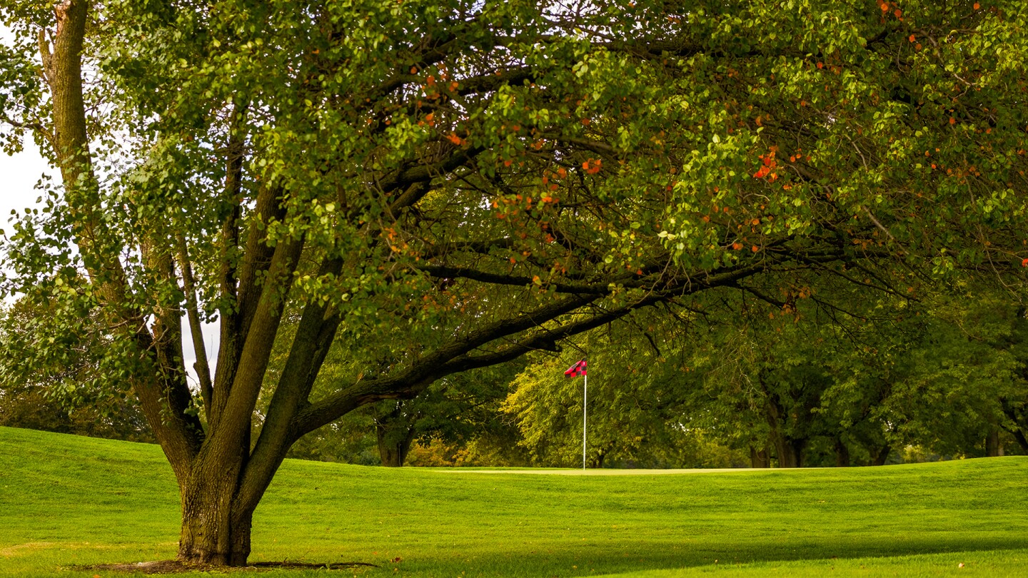 Golf Course in Riverdale Illinois | Joe Louis Golf Course